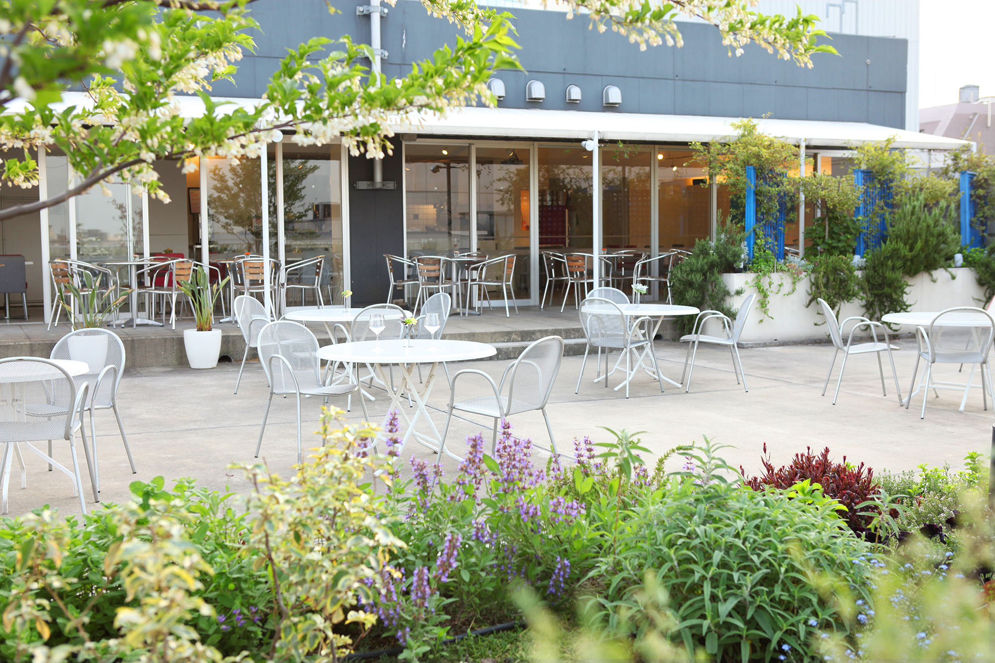 SOCIOMUSÉ（ソシオミュゼ）公式ウェブサイト | she-Bop terrace